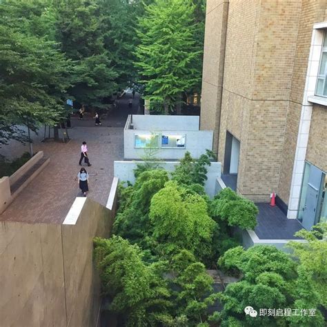 探訪日本名校，慶應大學，早稻田大學，東京大學 每日頭條