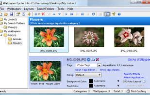 Daily Wallpapers From Bing Alternatives And Similar Apps AlternativeTo