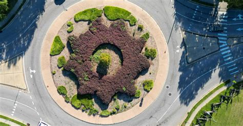 Cómo Circular En Rotondas