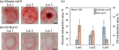 Figure 1 From Designing Elastic Modulus Of Cell Culture Substrate To