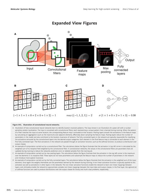 Pdf Automated Analysis Of High‐content Microscopy Data With Deep Learning