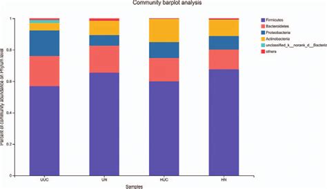 Analysis Of Microbial Community Composition Among 4 Groups At Phylum Download Scientific