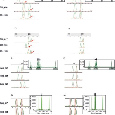 A Schematic Representation Of The Position And Role Of Qtl Cloning In Download Scientific