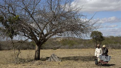 Zimbabwe Plans To Repatriate Fighters Remains From Uk For Burial Over
