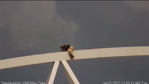 The Moment Sergeant Leo Bennett Ended His One Man Protest For