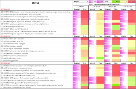 The Top 10 Most Enriched Go Terms Within Biological Processes Bp