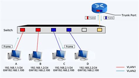 Vlan Tagging Between Switches At Frank Hamlin Blog