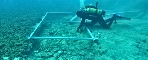 Road Built 7000 Years Ago Found At The Bottom Of The Mediterranean Sea