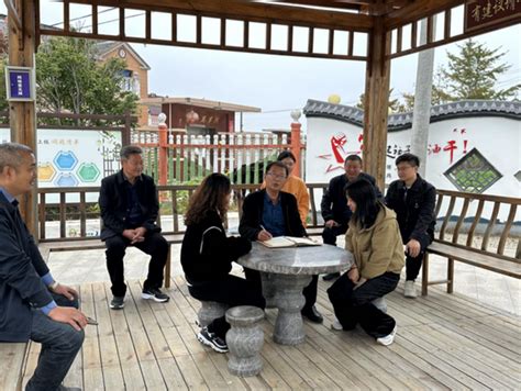 泰州市梁徐街道政协委员履职小组：大兴调研之风 共绘振兴画卷 新华网