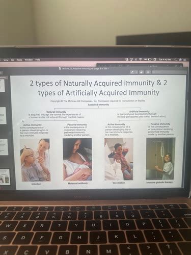 Adaptive Immunity Flashcards Quizlet