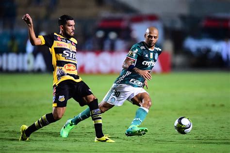 Palmeiras X Novorizontino Pelo Campeonato Paulista Veja Fotos Gazeta