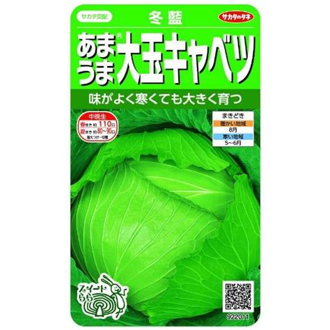 実咲 あまうま大玉キャベツ 冬藍 実咲 サカタのタネ｜sakata Seed Corporation 通販 ビックカメラcom
