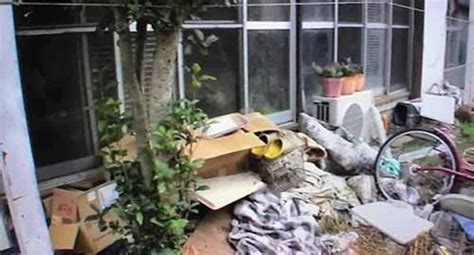 【埼玉県深谷市】まるで猫屋敷！猫120匹の飼い主が逮捕され放置される事態：ビビット【20161121】 何ゴト？