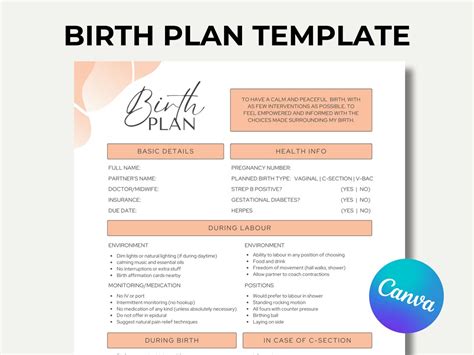 Birth Plan Template Birth Plan Printable Natural Birth Plan