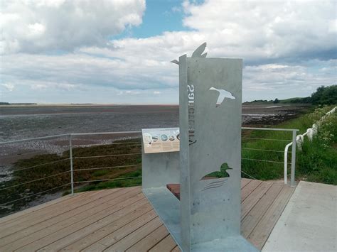 Work Completed On New Bird Viewing Platform At Northumberland Beauty