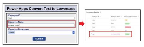 How To Use Power Apps Lower Upper And Proper Function With Examples