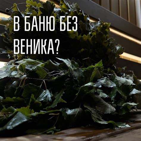 ВЕНИК В БАНЕ Похлстывание тела веником - это своеобразный массаж ...