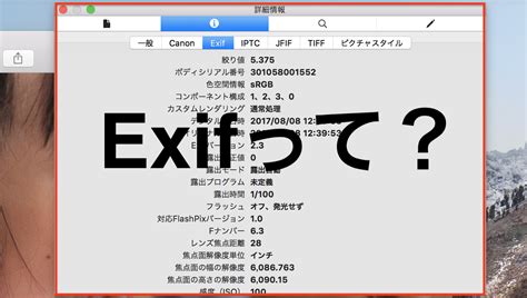 写真のexif情報とは？確認・削除・編集する方法まとめ【画像データのイグジフ見方：macpc・iphoneandroid】 毎日が生まれたて