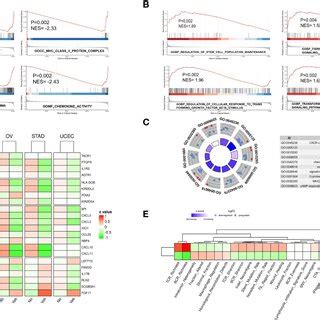 Role Of CHP Score In Predicting The Immunotherapy Response In Four GEO Download Scientific