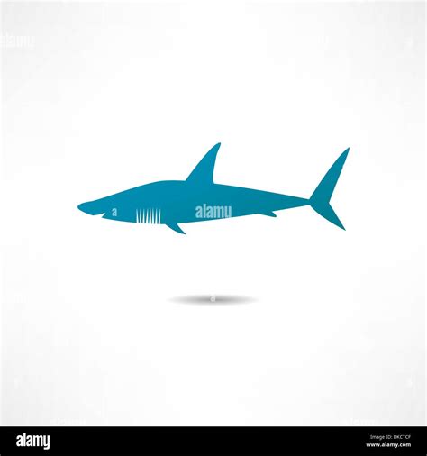 Shark Stock Vector Image And Art Alamy