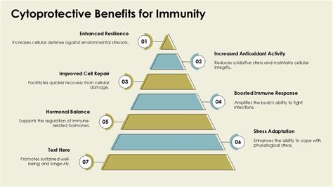 Cytoprotective Benefits For Immunity Cellular Health Ppt Slides St Ai