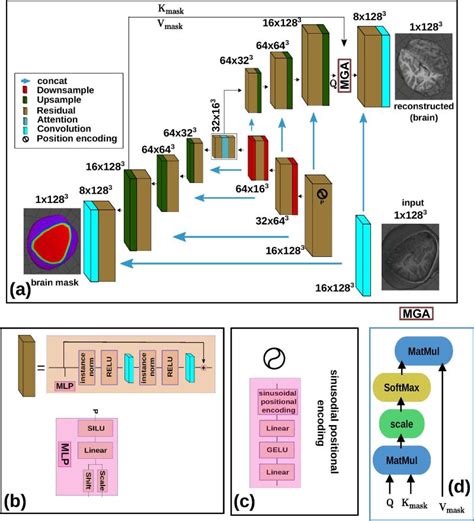 Bahram Jafrasteh On Linkedin Neuroimage Deeplearning Machinelearning Medicalimaging