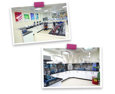 Byk Historie 2005 Byk