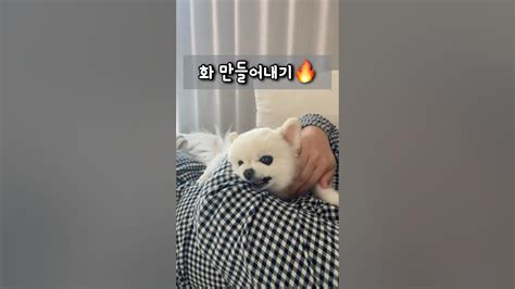 화를 만들어내는 아빠🔥 Youtube
