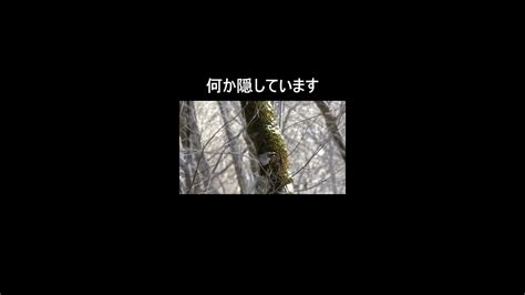 Short Youtube