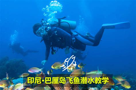 印尼巴厘岛 飞鱼潜水中文教练 Padi Owaow潜水考证教学课程 潜客假期 Chinadiver