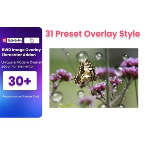 Image Overlay For Elementor V10 Nulled Download Empiregpl