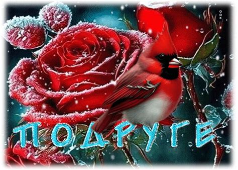 Теплая и веселая снежная открытка с розой Подруге Скачать бесплатно на