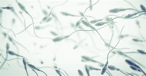 Surgical Sperm Aspiration Sperm Collection And Retrieval