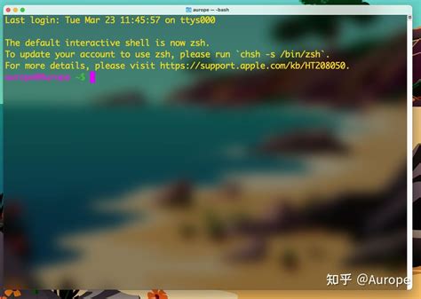 Mac 终端 Vim编辑器配置 知乎