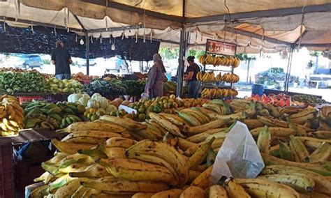 Canasta alimentaria diciembre granos los que más subieron