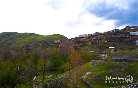 جنگل جیغ کجاست؟ یومگ