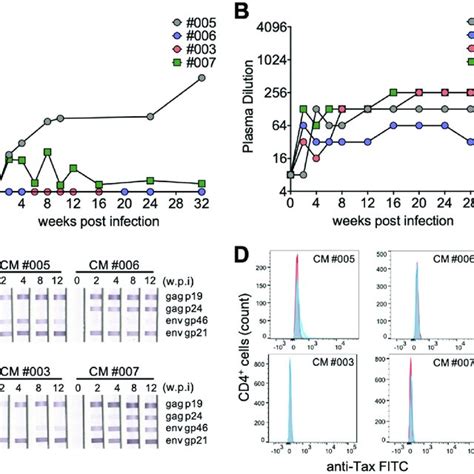 Effects Of Cd8 1 T Cells On Htlv 1 Infection At The Time Of Infection