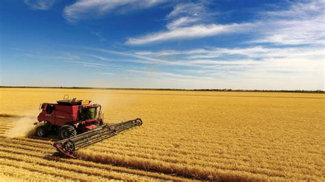 Boost Your Farm Business Strategic Grain Marketing Workshops