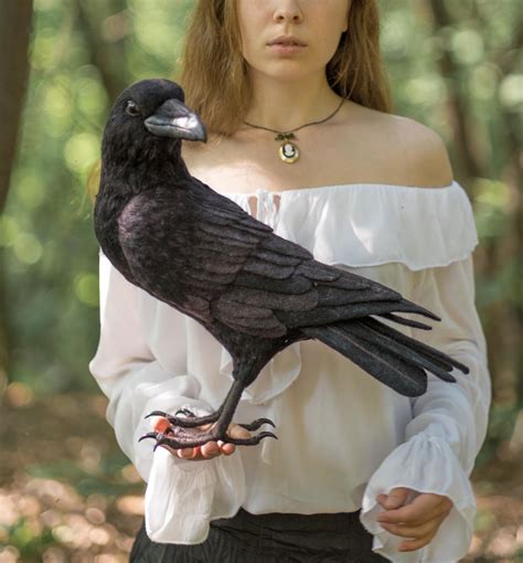 Ворон сидит на плече картинки и фото Poknok Art