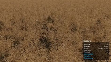 Farming Simulator Summer Season Guide Best Crops Planting Requirements More