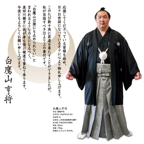十両 白鷹山 亨将 高田川部屋