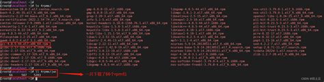 使用repotrack下载指定rpm包及其全量依赖包 Csdn博客 使用repotrack下载指定rpm包及其全量依赖包 Csdn博客