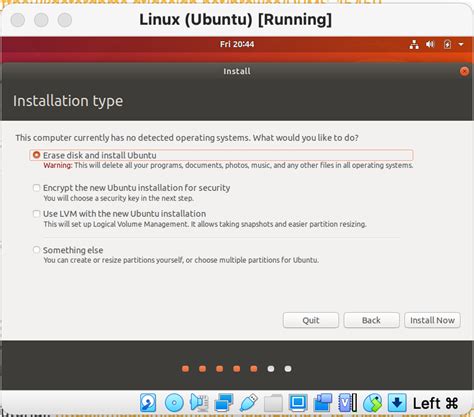 Which One Should I Choose When Installing Ubuntu Inside The VM This Option Looks Very Dangerous
