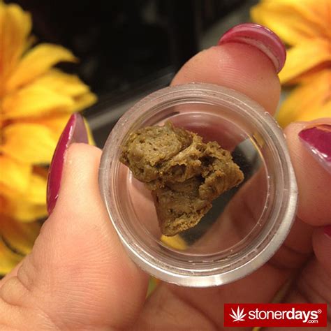 Yabadabadoo Stoner Pictures Stoner Blog