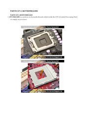 Motherboard Docx Parts Of A Motherboard Parts Of A Motherboard Cpu Holder Is A Portion In