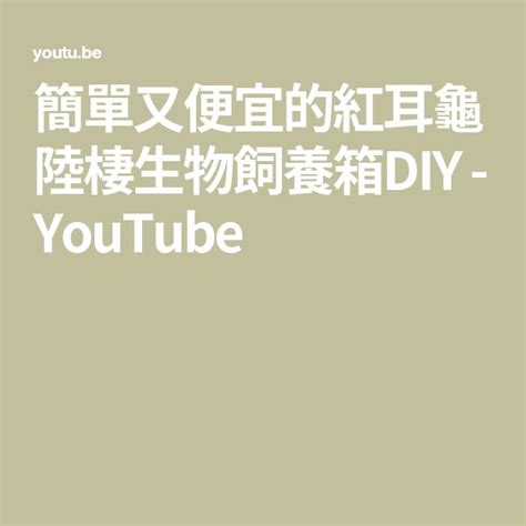 Diy Youtube Youtube Development The Creator