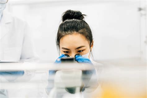 Enhancing Productivity With Copilot Powered Chatbots Gruve Ai Gruve Ai