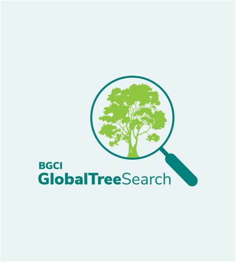 Globaltreesearch Botanic Gardens Conservation International