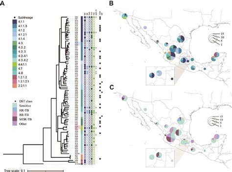 Figure 1 From Genomic Epidemiology Analysis Of Drug Resistant