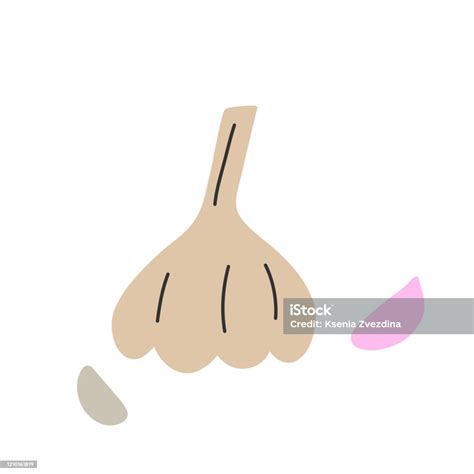 평평한 만화 스타일의 낙서 마늘 로고 또는 아이콘 격리된 벡터 오브젝트입니다 귀여운 재미 마늘 아이콘입니다 정원에서 채소 유기농